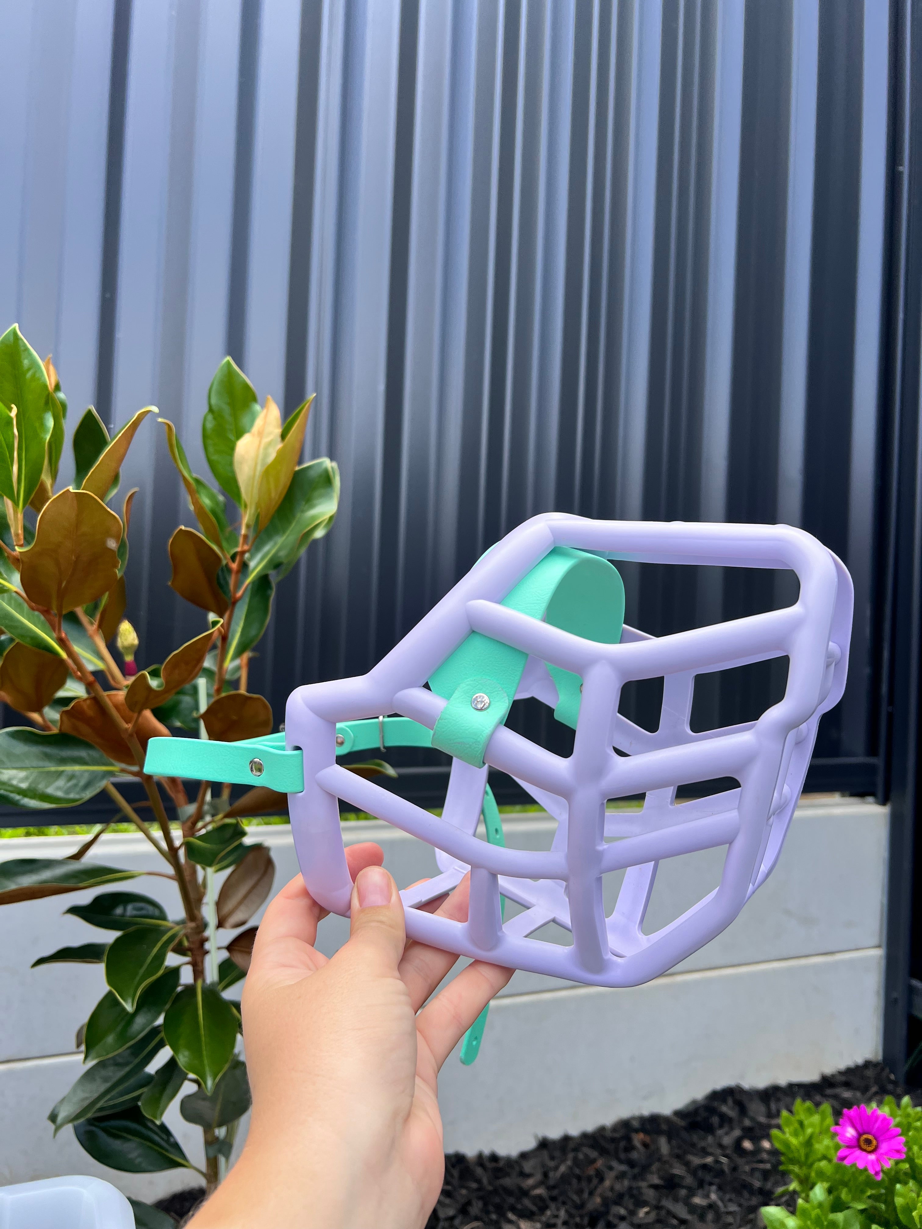 The Muzzle Movement Muzzle | The Evolved Canine